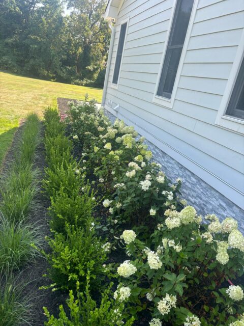 Tree Service & Lawncare Long Island, NY | Arcadia Outdoors
