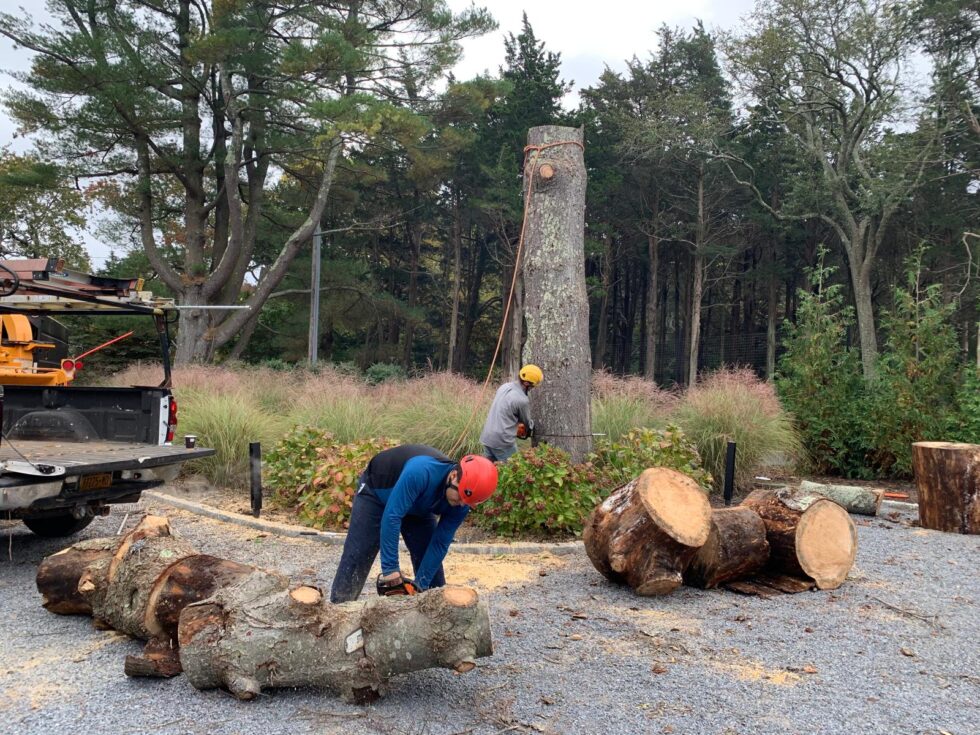 Tree Service & Lawncare Long Island, NY | Arcadia Outdoors